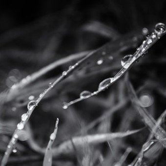 Grå - sort - Patchwork-Oasen.dk